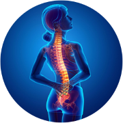 Flamingo Back Support: Braces & Belts for Pain Relief