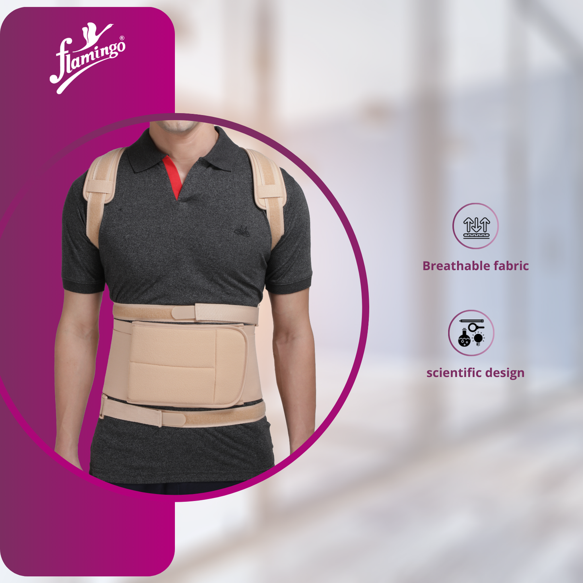 Flamingo Dorsolumbar Spinal Brace (Taylor's Brace)