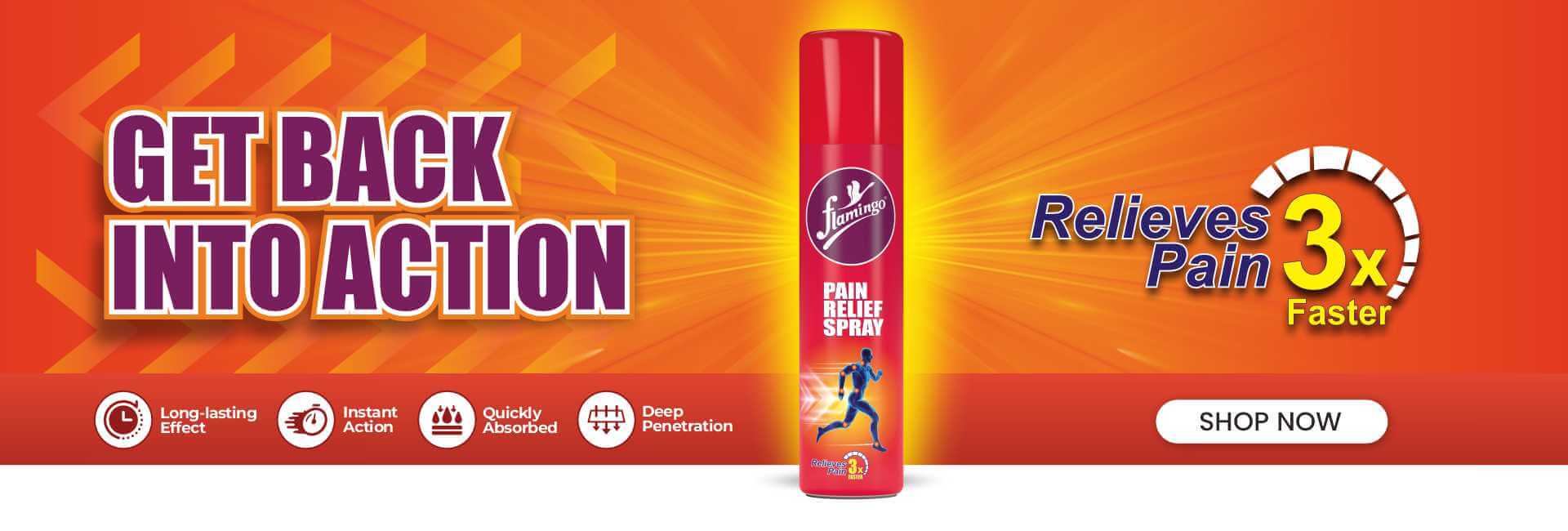 Flamingo Pain Relief Products | India's Leading Orthopaedic Brand ...